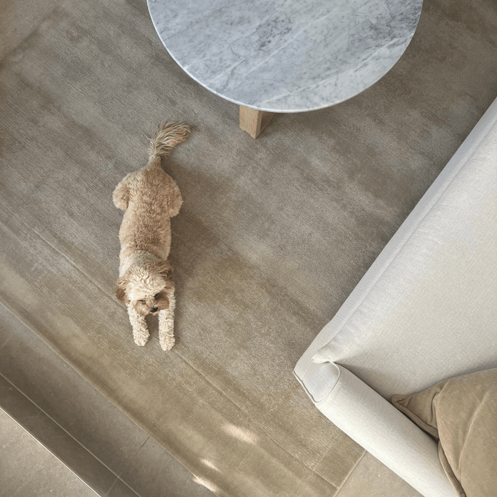 Tait Rug, Rice by Tribe Home - Perth Stockist + Free Shipping Australia ...